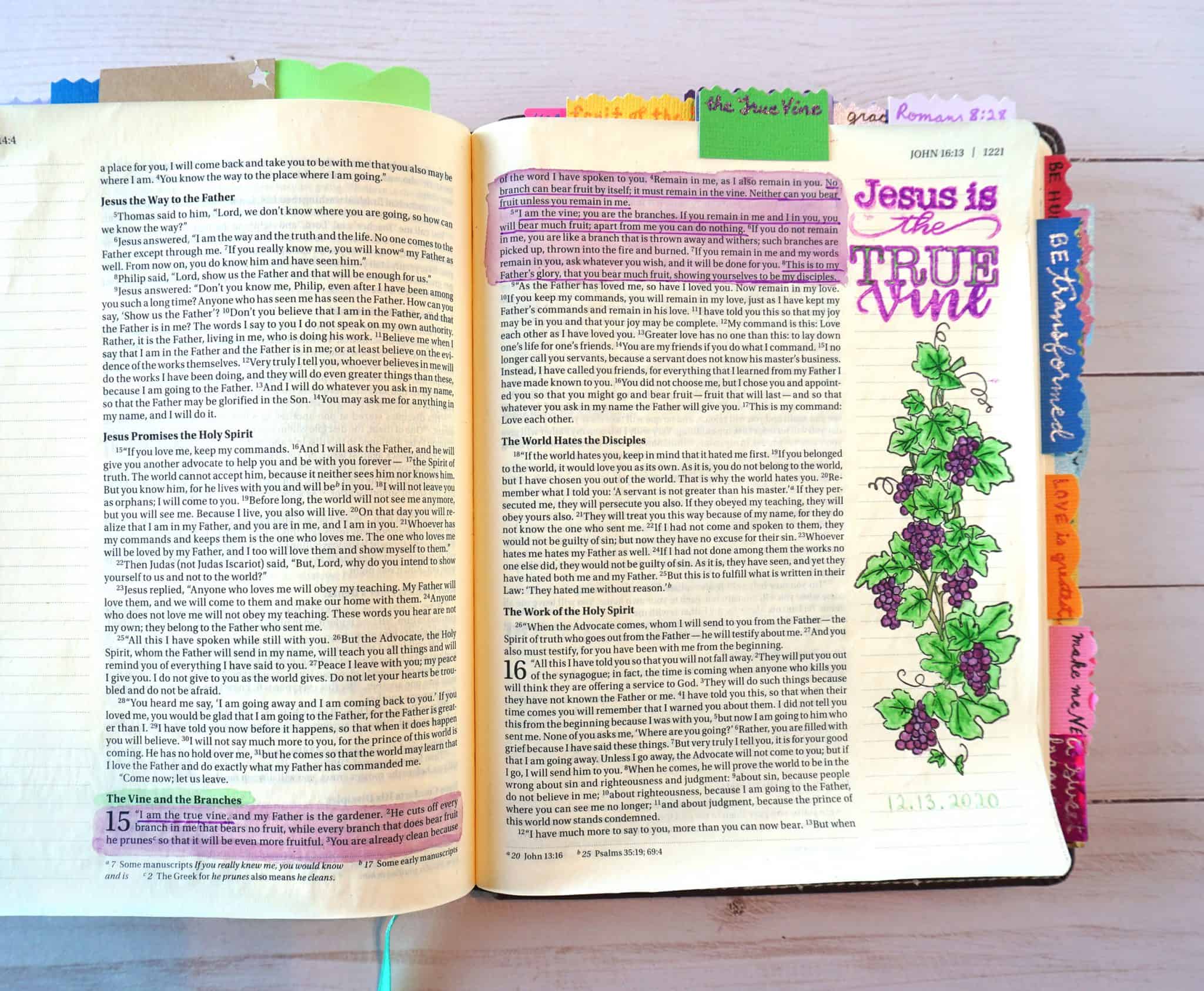 The Vine and the Branches: Bible Journaling & Study | Divine Creative Love